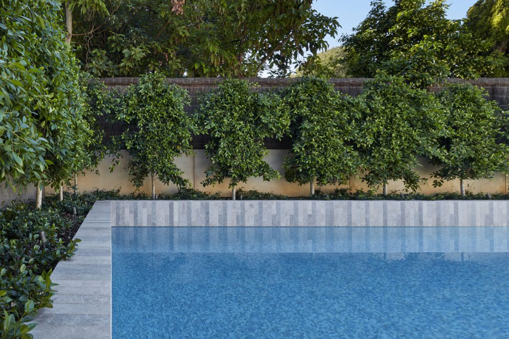 Medindie - Elite Pools & Landscapes